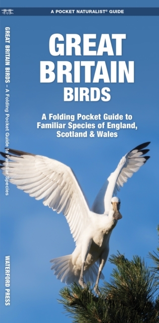 Great Britain Birds, 2nd Ed, James Kavanagh | Overig | 9781620053546 ...