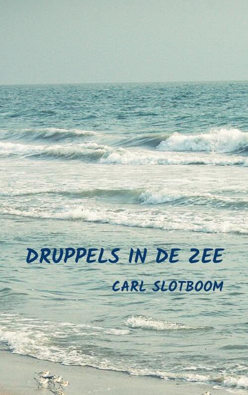 Druppels In De Zee, Carl Slotboom | Boek | 9789464803303 | Bruna