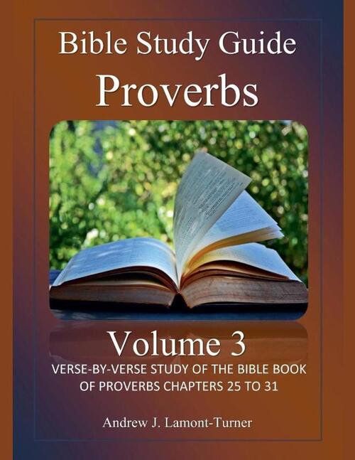 Bible Study Guide, Andrew J. Lamont-Turner | Boek | 9798227195425 | Bruna