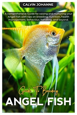 Angel Fish: A comprehensive Guide for raising and nurturing your Angel ...