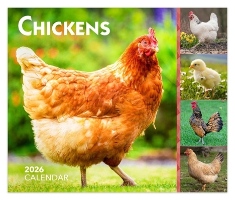 Chickens 2026 6 X 5 Inch Daily Desktop Box Calendar New Page Every Day ...