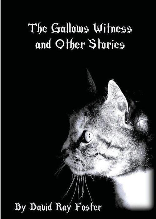 The Gallows Witness and Other Stories, David Ray Foster | Boek ...