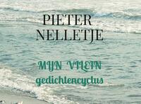 Mijn Vilein, Pieter Nelletje | Boek | 9789403709604 | Bruna